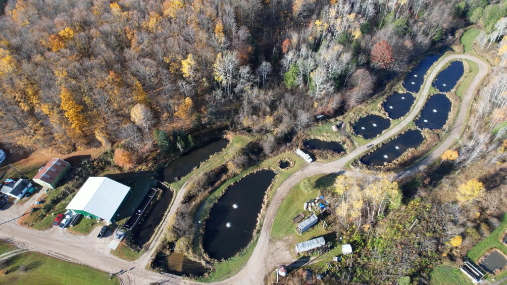 Contact - Bird Commander